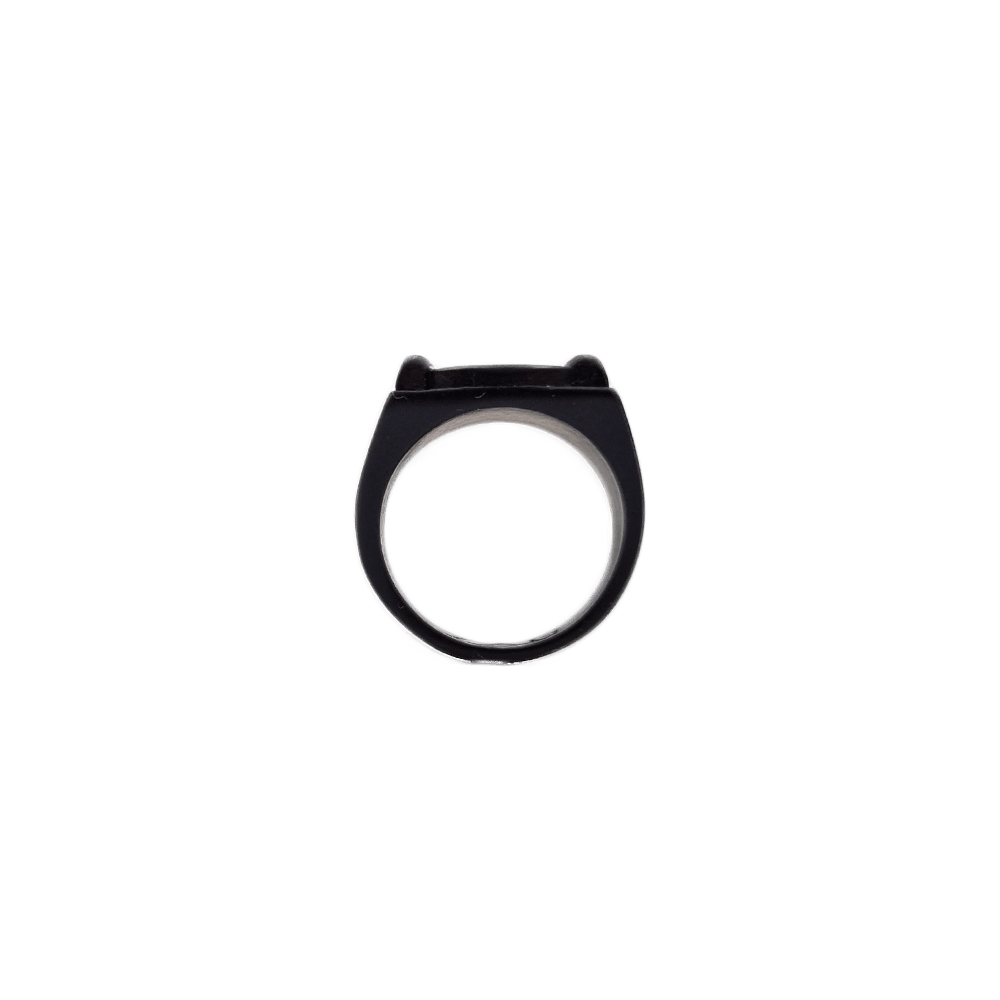 Miraculous Cat Noir Ring Zag Store miraculous-cat-noir-ring-zag-store
